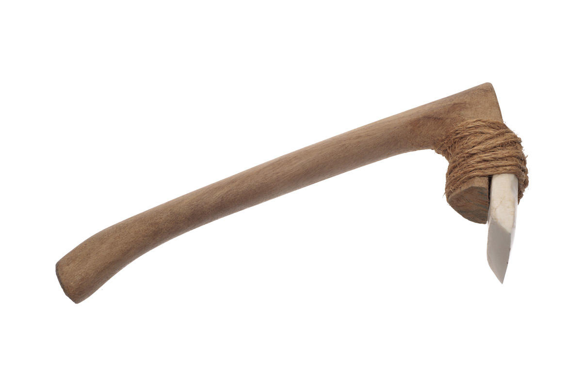 Adze with a wooden haft, a tridacna shell adzehead and sennit lashing ...